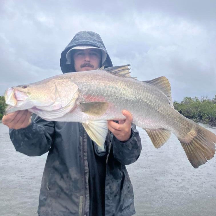 Weedless Hooks - 1/8oz x 4 Pack – Dirty Tackle